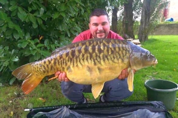 24 Most Popular Types of Carp