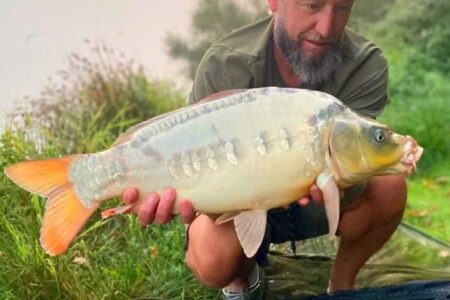 24 Most Popular Types of Carp