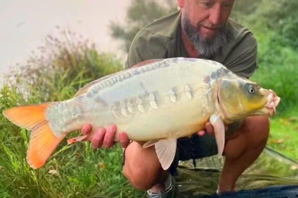 24 Most Popular Types of Carp