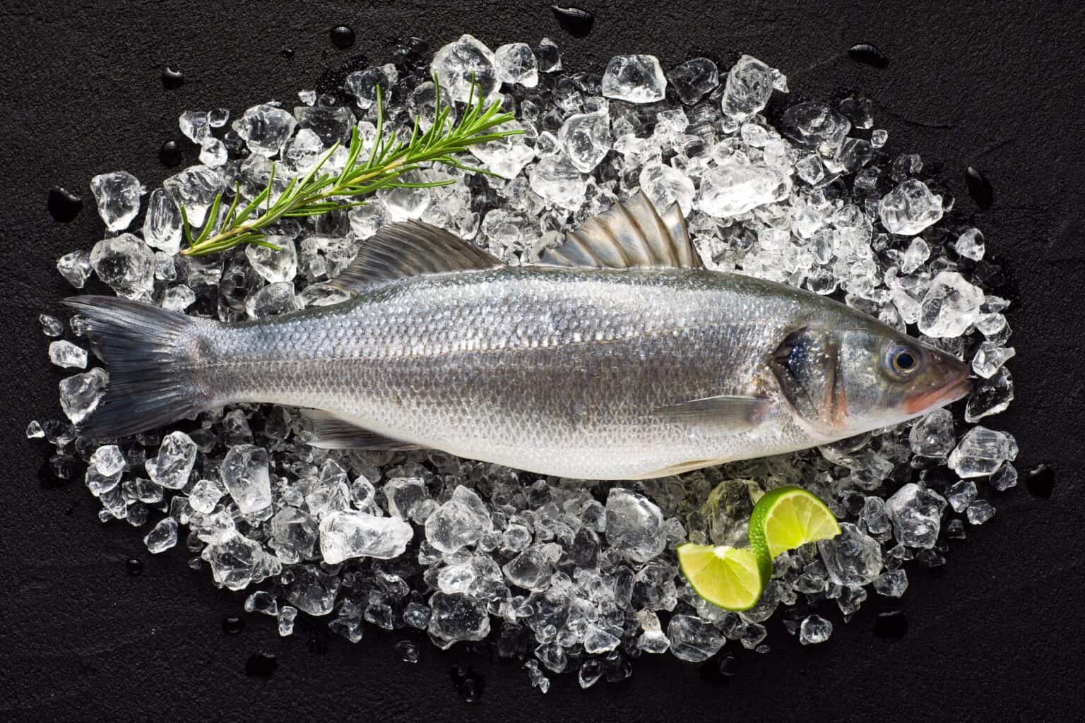 Can You Eat Bass? – What Does It Taste Like?
