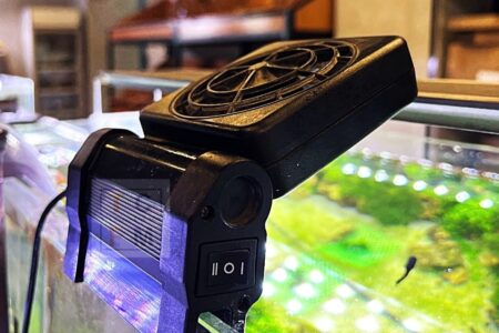 8 Effective Ways to Keep Your Axolotl Tank Cool