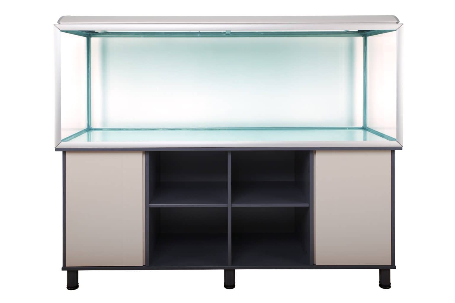 The Complete Axolotl Supplies and Starter Kit Guide