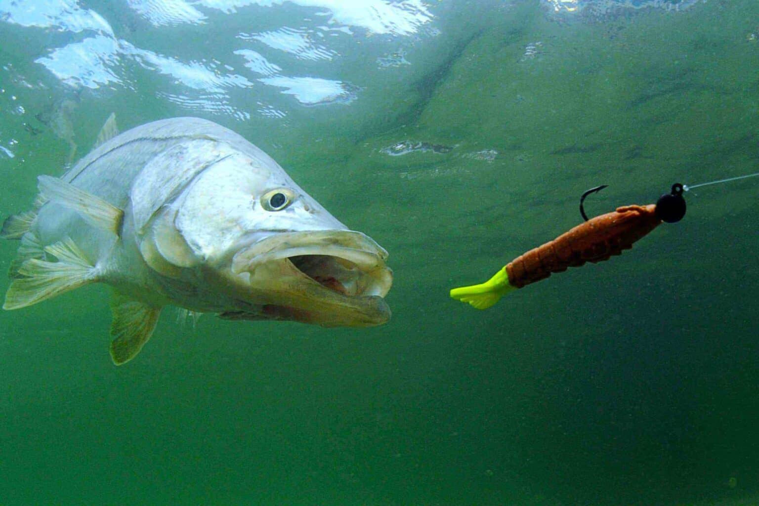 Top 10 Pier Fishing Tips for Beginners (Updated 2026)