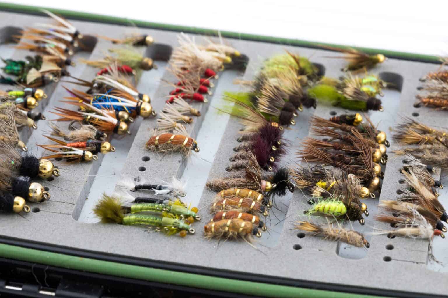 Fly Fishing for Bass (Beginner's Guide, Tips & Tricks)