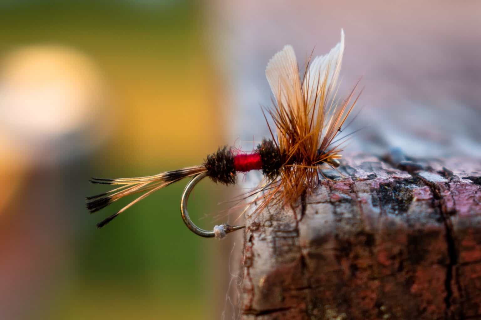 Fly Fishing Streamers: Everything You Need to Know!