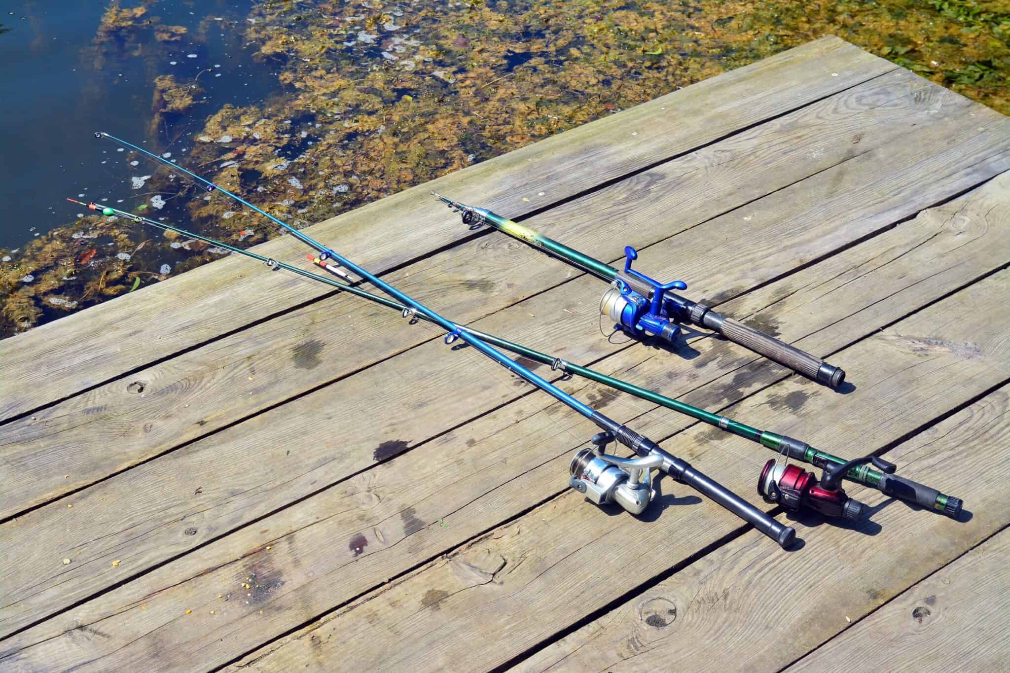 Fly Fishing for Bass (Beginner's Guide, Tips & Tricks)