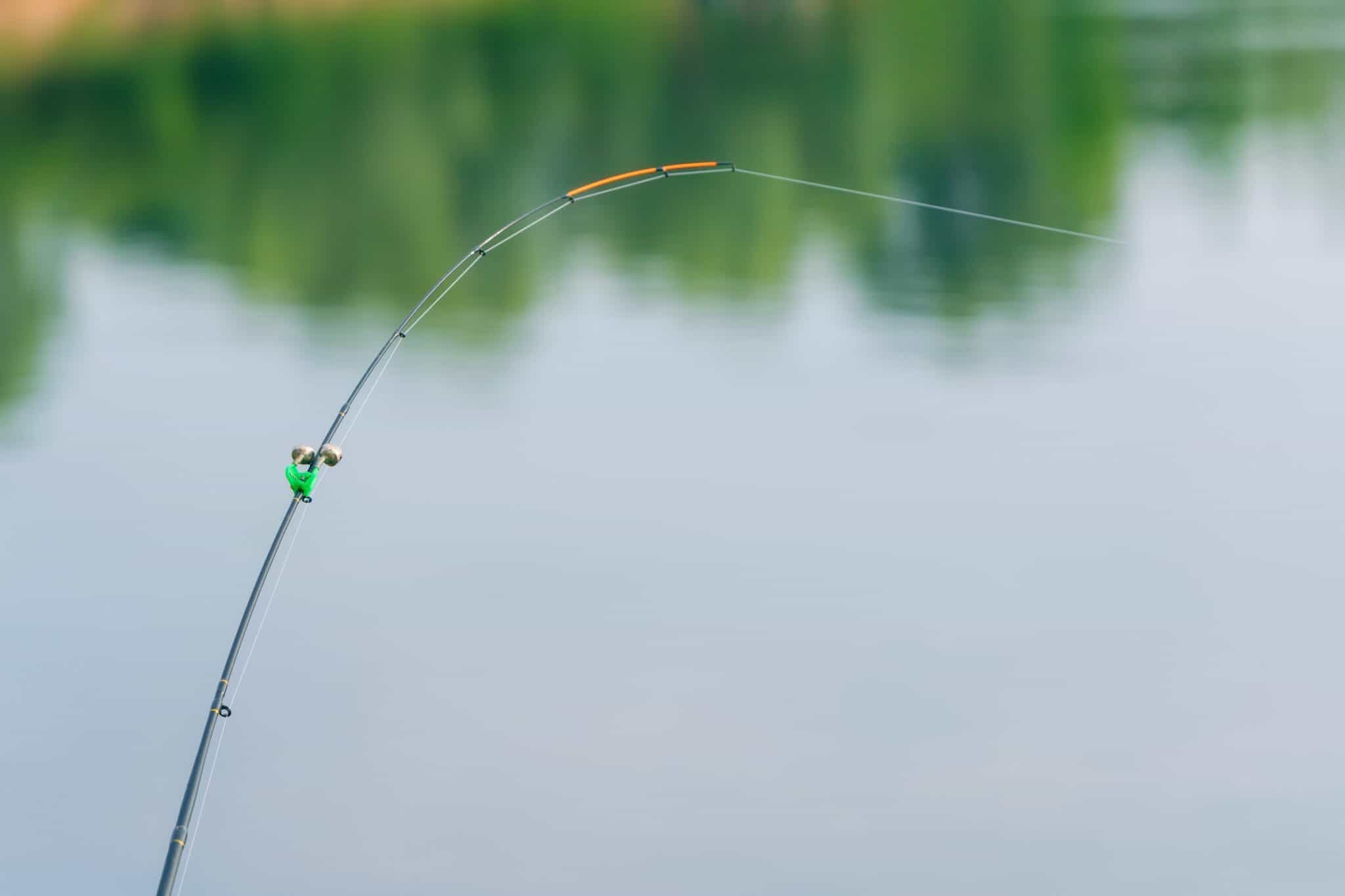 Fly Fishing for Bass (Beginner's Guide, Tips & Tricks)