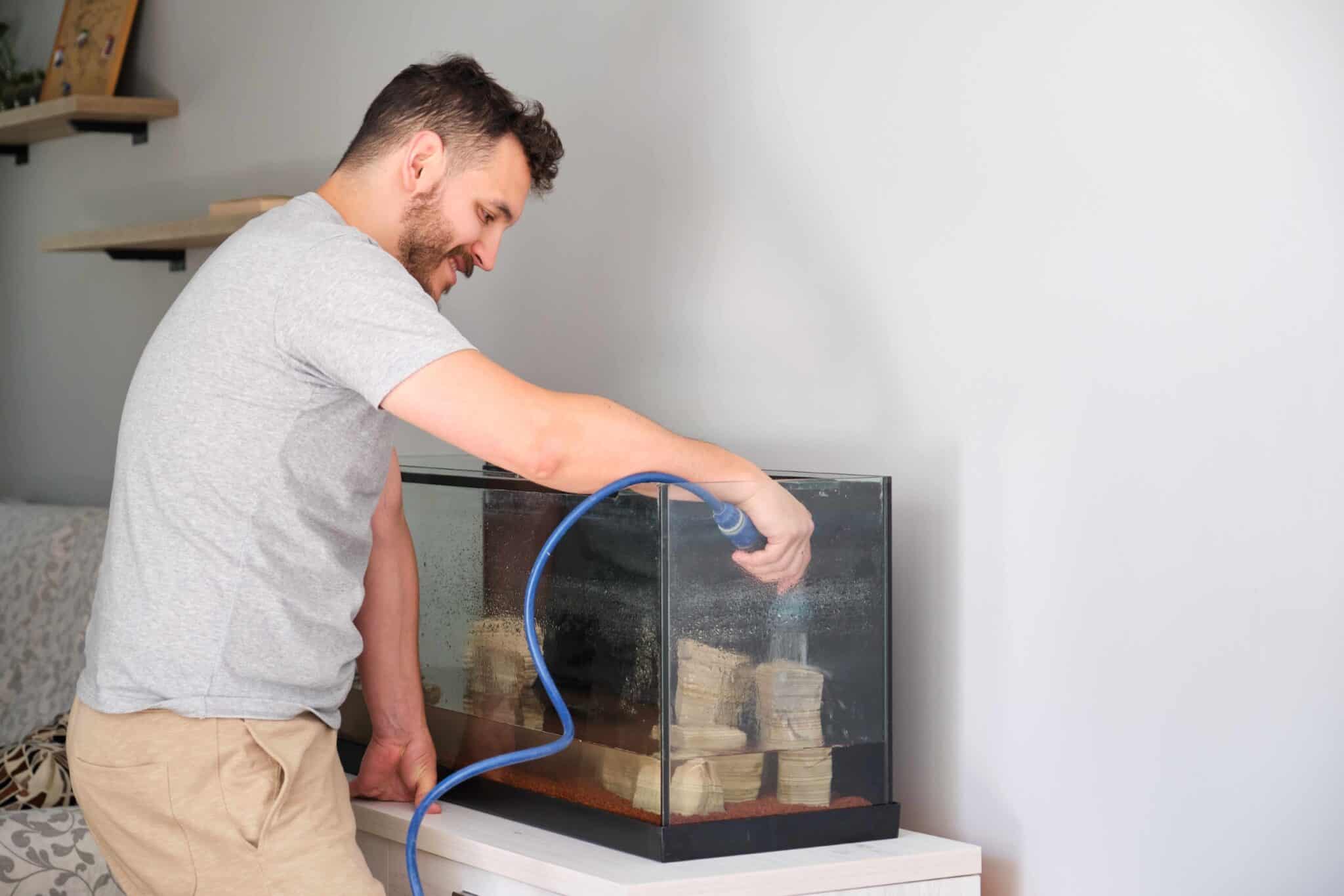 The Complete Axolotl Supplies and Starter Kit Guide