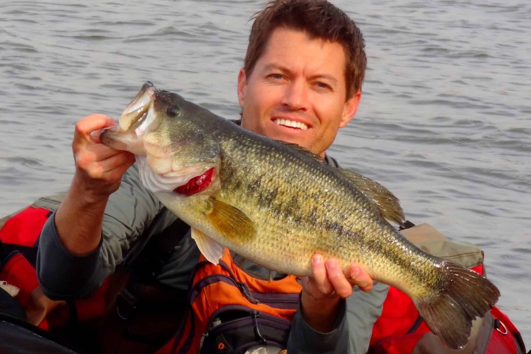 Fly Fishing for Bass (Beginner's Guide, Tips & Tricks)