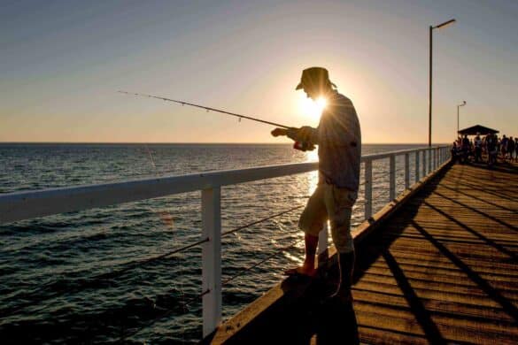 Top 10 Pier Fishing Tips for Beginners (Updated 2026)