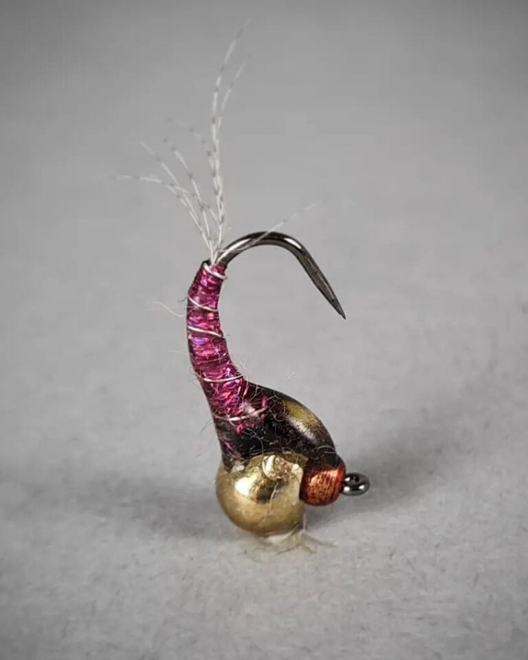 What Is a Perdigon Fly? - A Complete Guide