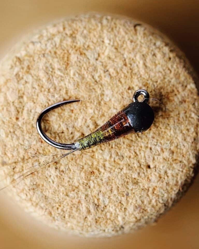 What Is a Perdigon Fly? - A Complete Guide