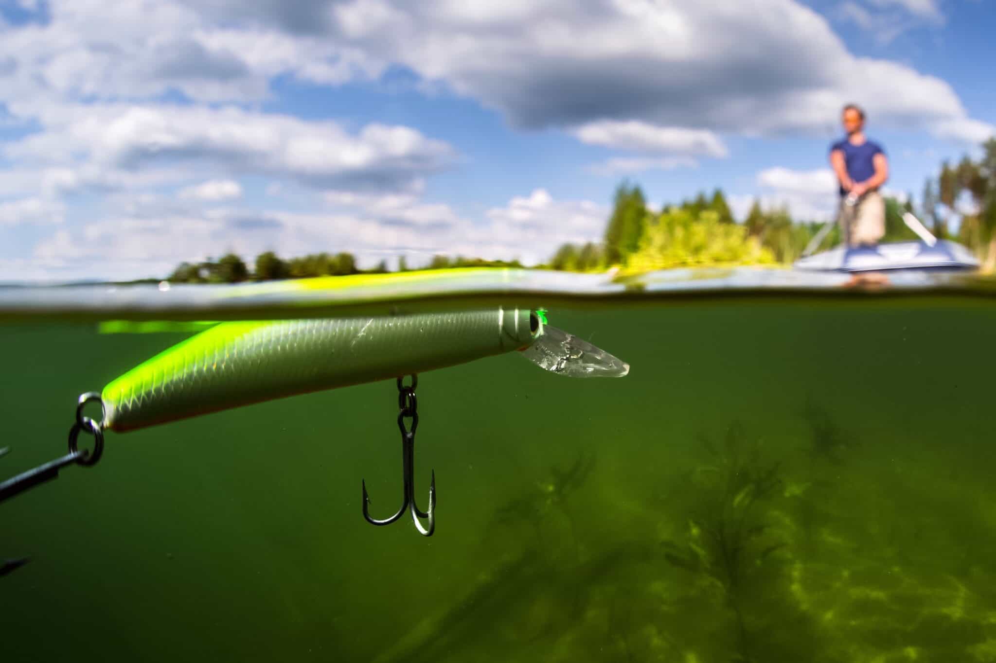 9 Best Baits for Rainbow Trout (& How to Fish Them)