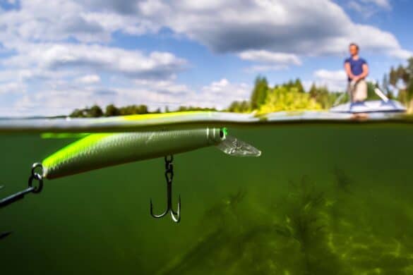 9 Best Baits for Rainbow Trout (& How to Fish Them)