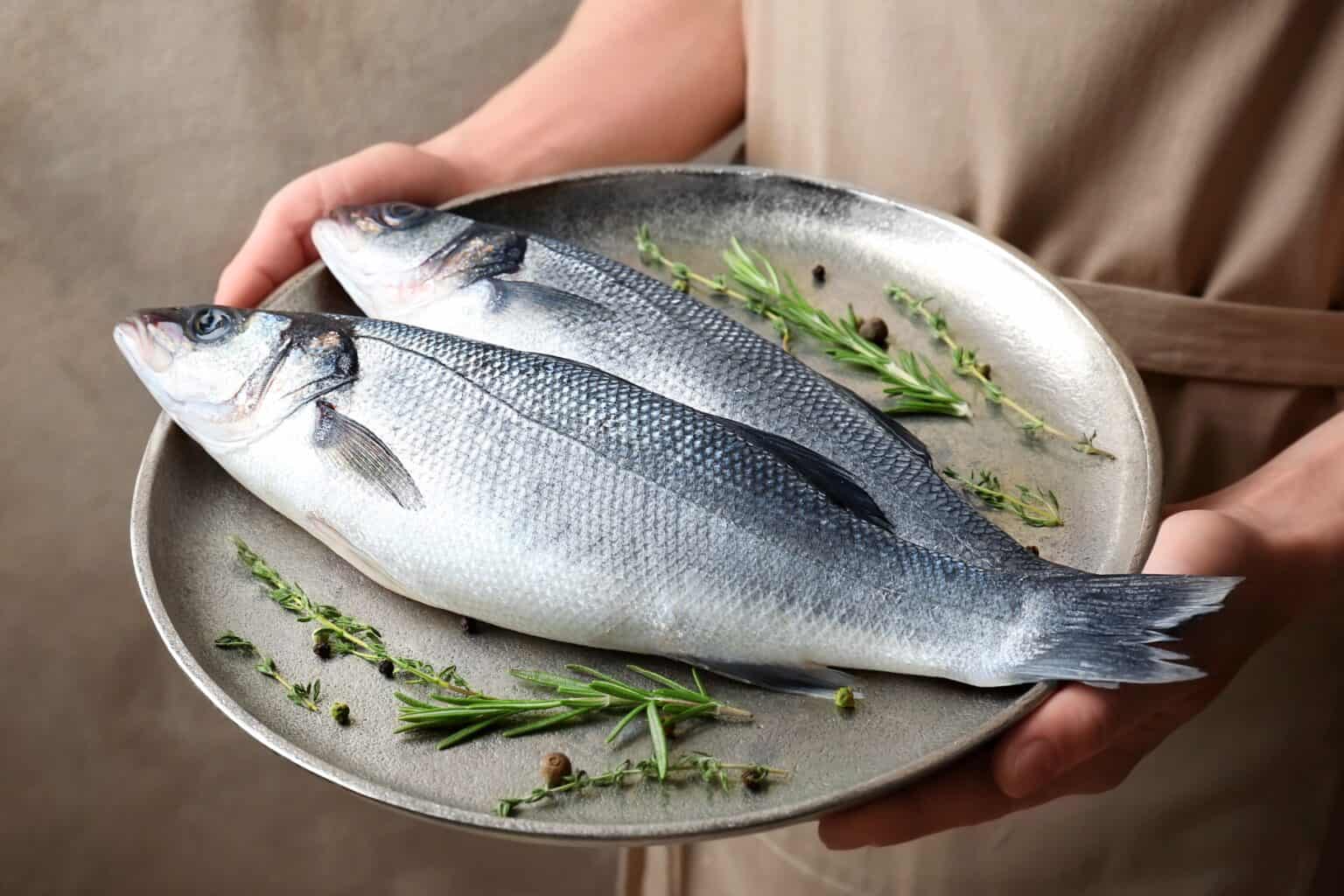 Can You Eat Bass? – What Does It Taste Like?