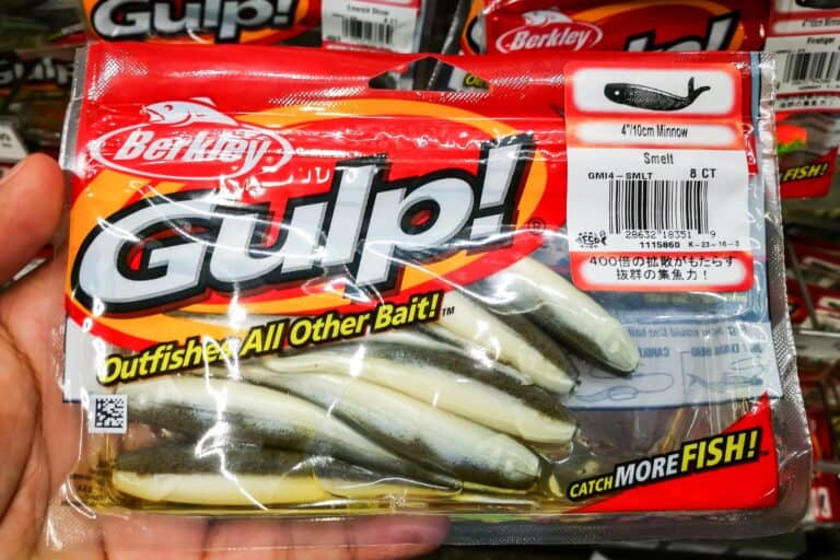 9 Best Baits for Rainbow Trout (& How to Fish Them)