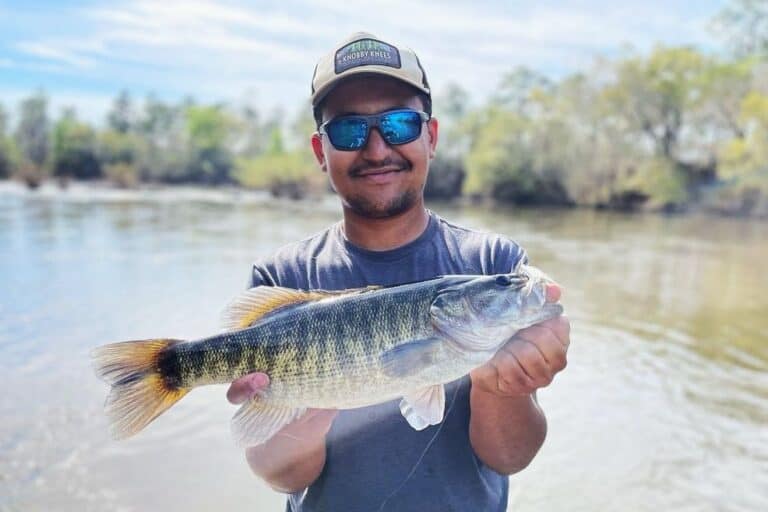 11 Types of Bass in North America: Your Ultimate Guide