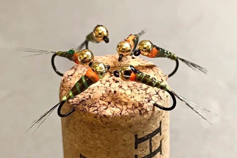 What Is a Perdigon Fly? - A Complete Guide