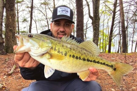 11 Types of Bass in North America: Your Ultimate Guide