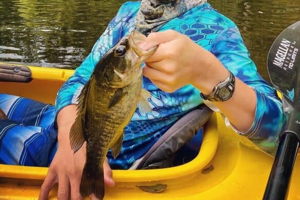 11 Types of Bass in North America: Your Ultimate Guide