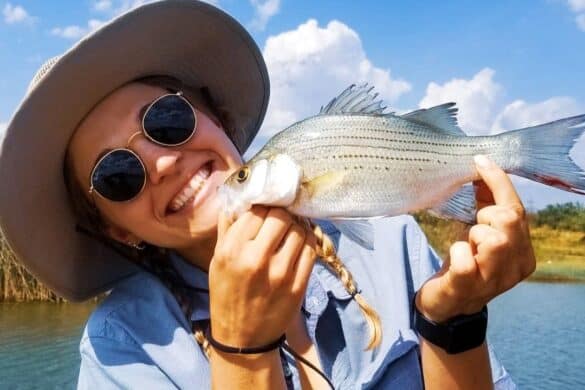 11 Types of Bass in North America: Your Ultimate Guide