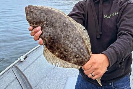 Halibut vs. Flounder: What’s the Difference?
