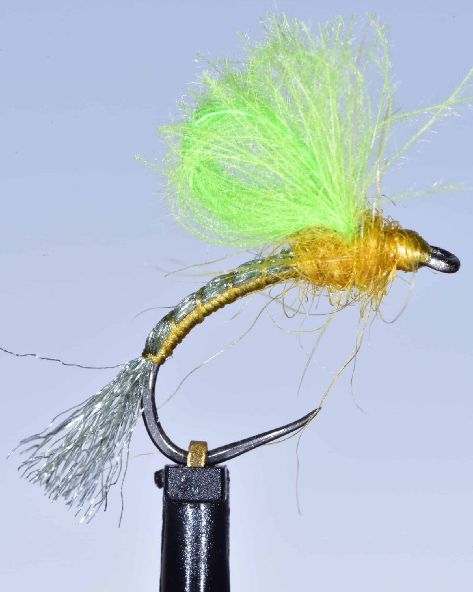 Fly Fishing Nymphs (Beginner's Guide, Tips & Tricks)