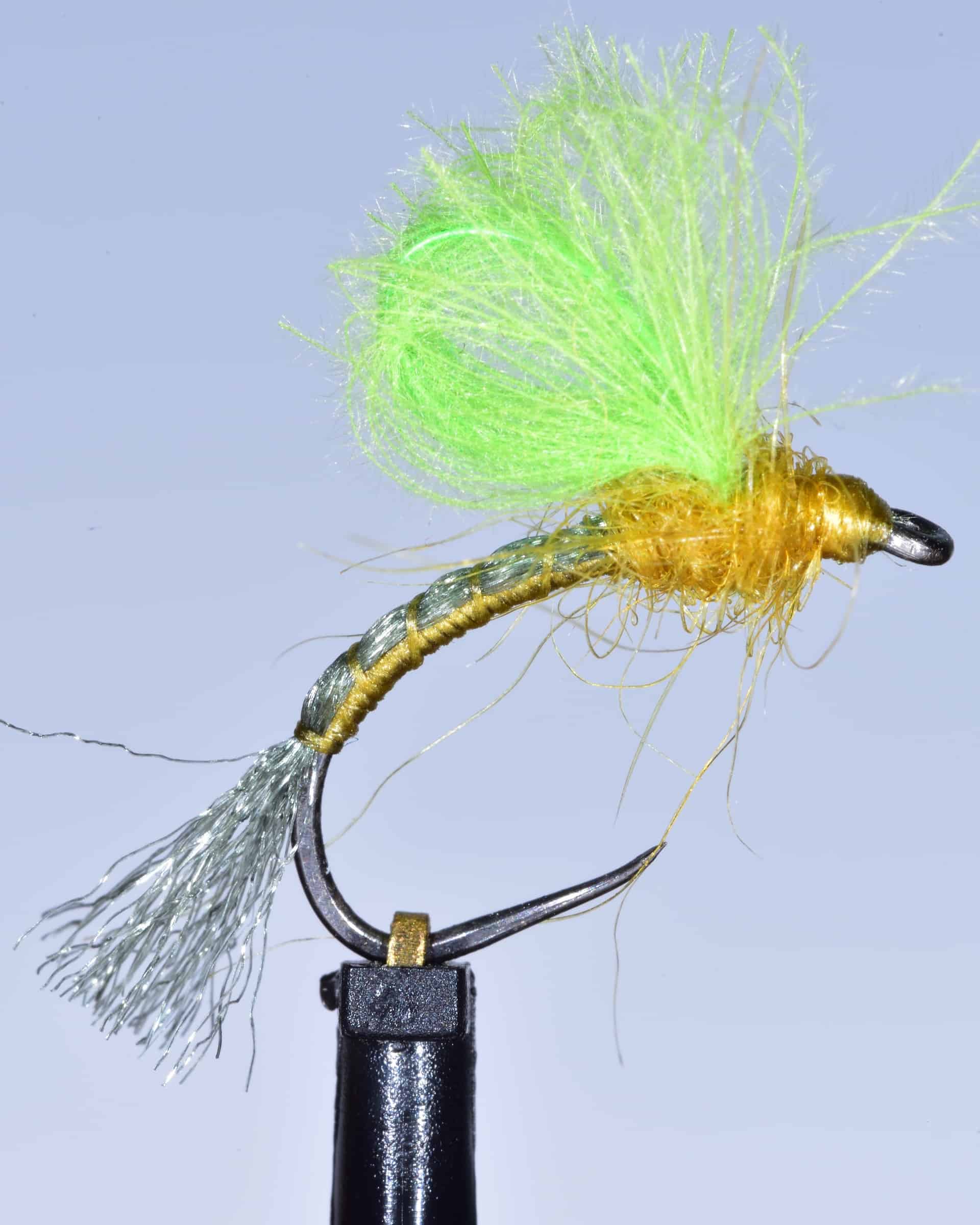 Fly Fishing Nymphs (Beginner's Guide, Tips & Tricks)