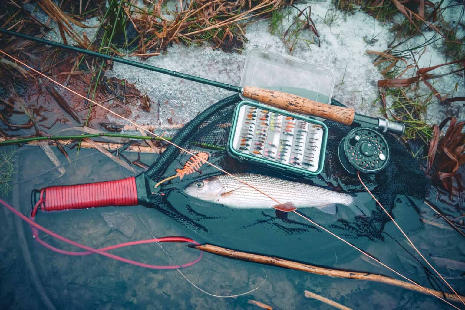 Fly Fishing Nymphs (Beginner's Guide, Tips & Tricks)