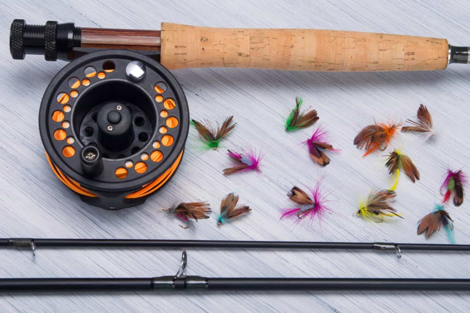 Fly Fishing Nymphs (Beginner's Guide, Tips & Tricks)