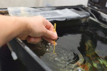 Ideal Water Temperature for Betta Fish: A Definitive Guide