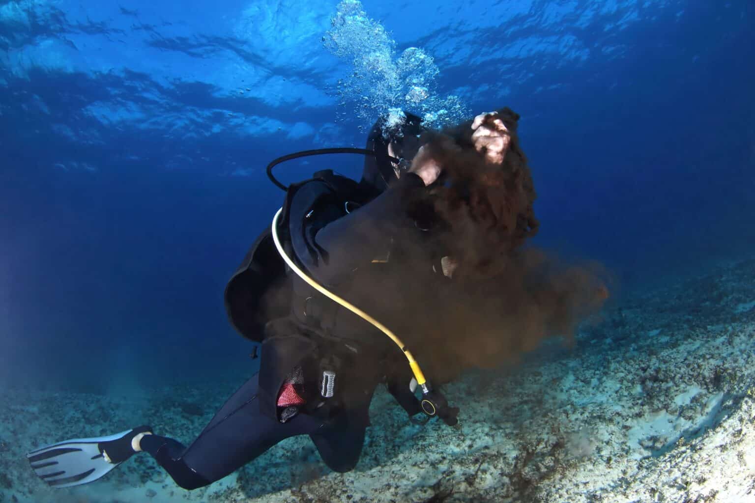 Do Octopuses Have Ink? (And What Is It Made of?)