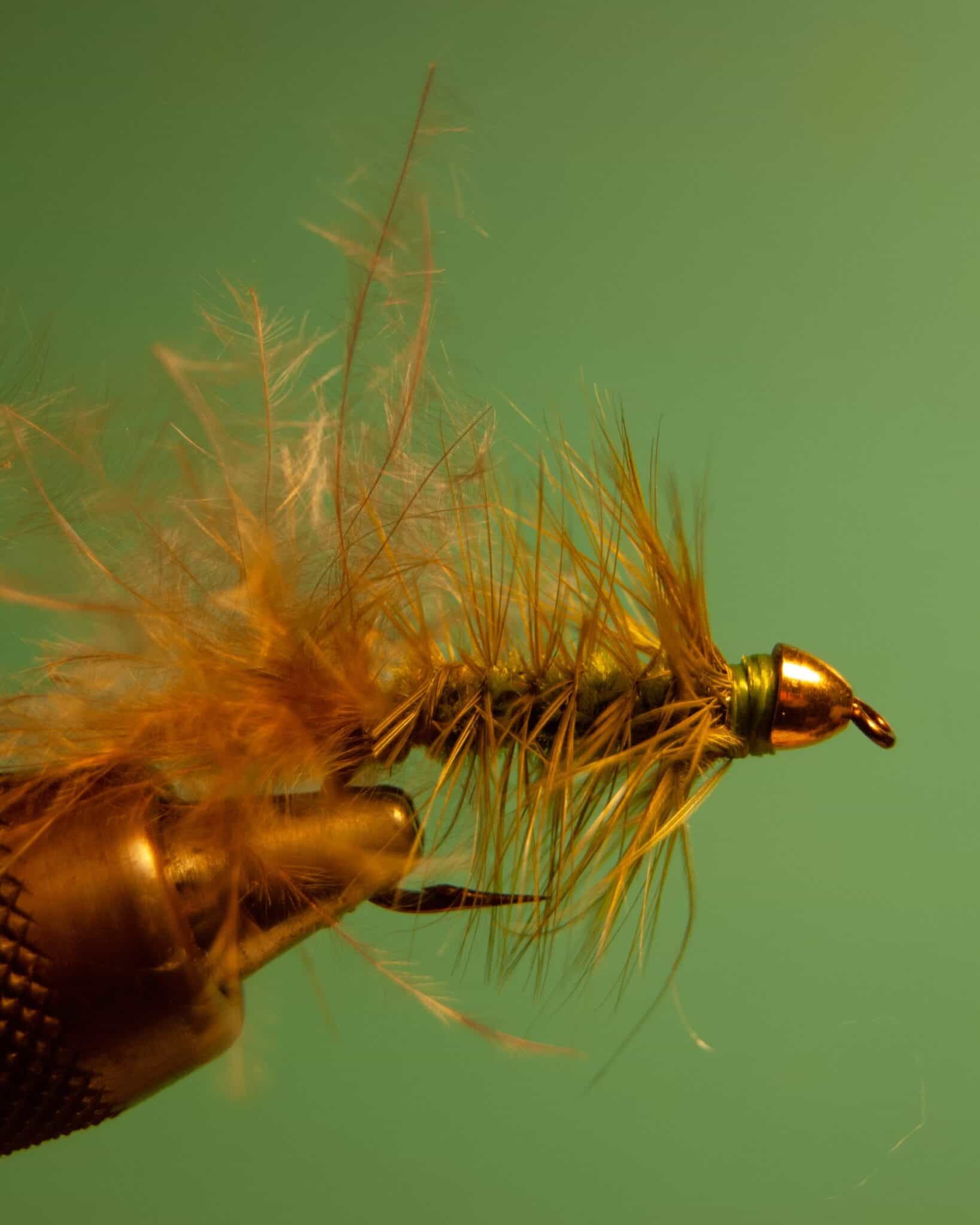 Fly Fishing Nymphs (Beginner's Guide, Tips & Tricks)