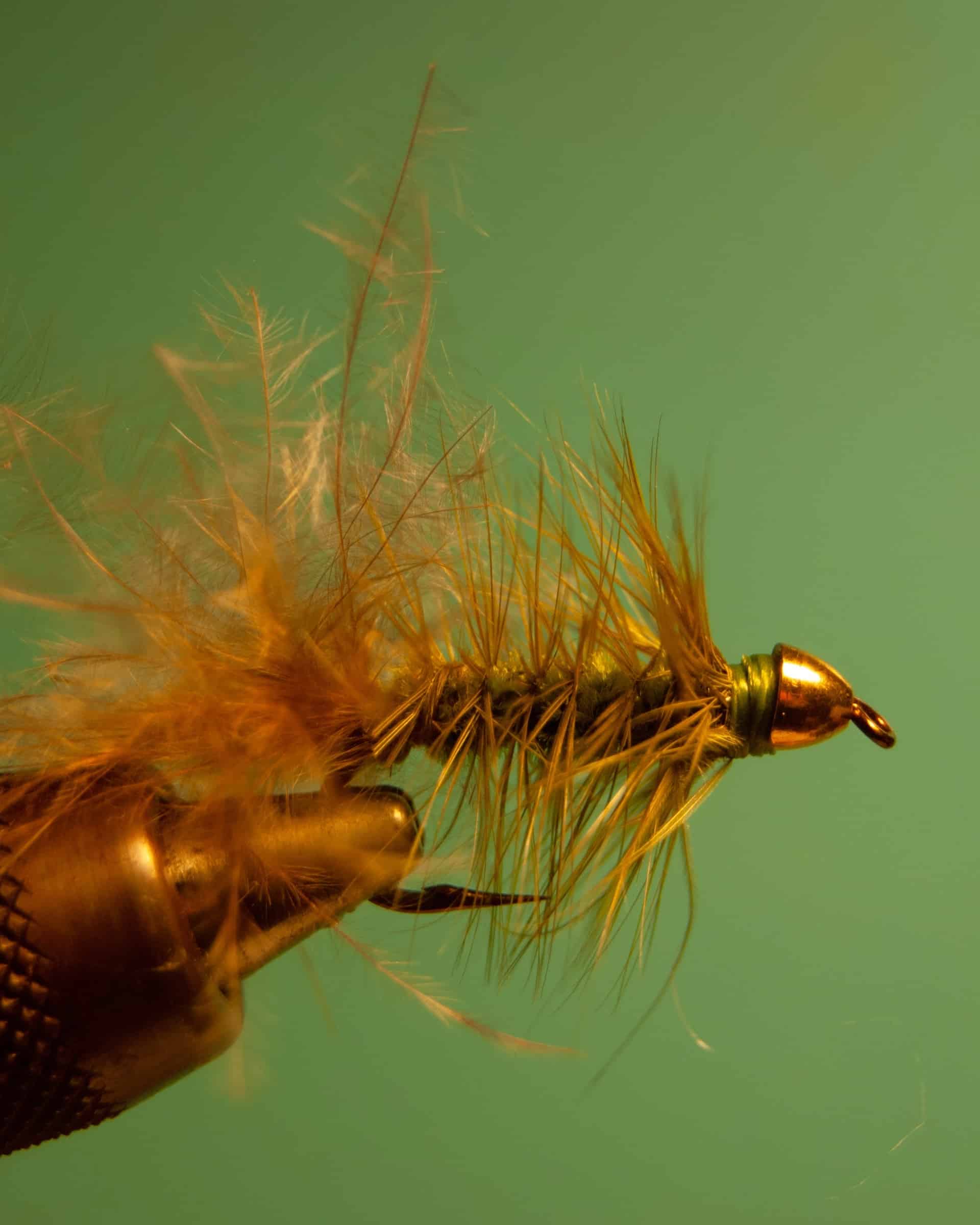 Fly Fishing Nymphs (Beginner's Guide, Tips & Tricks)