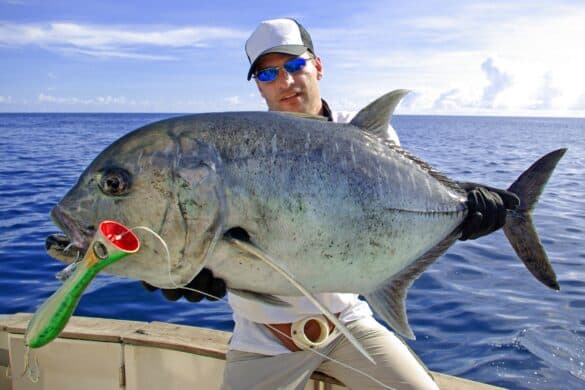 19 Different Types of Jack Fish